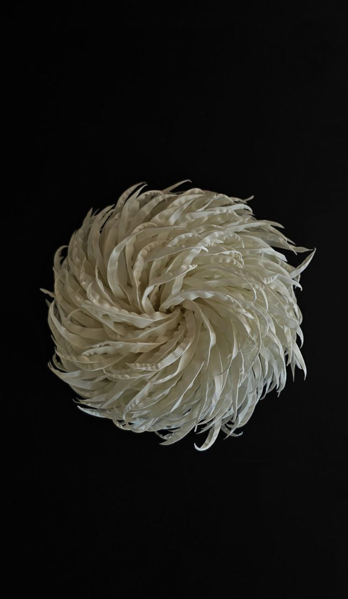 ASTRA CREAM BROOCH – Kayola